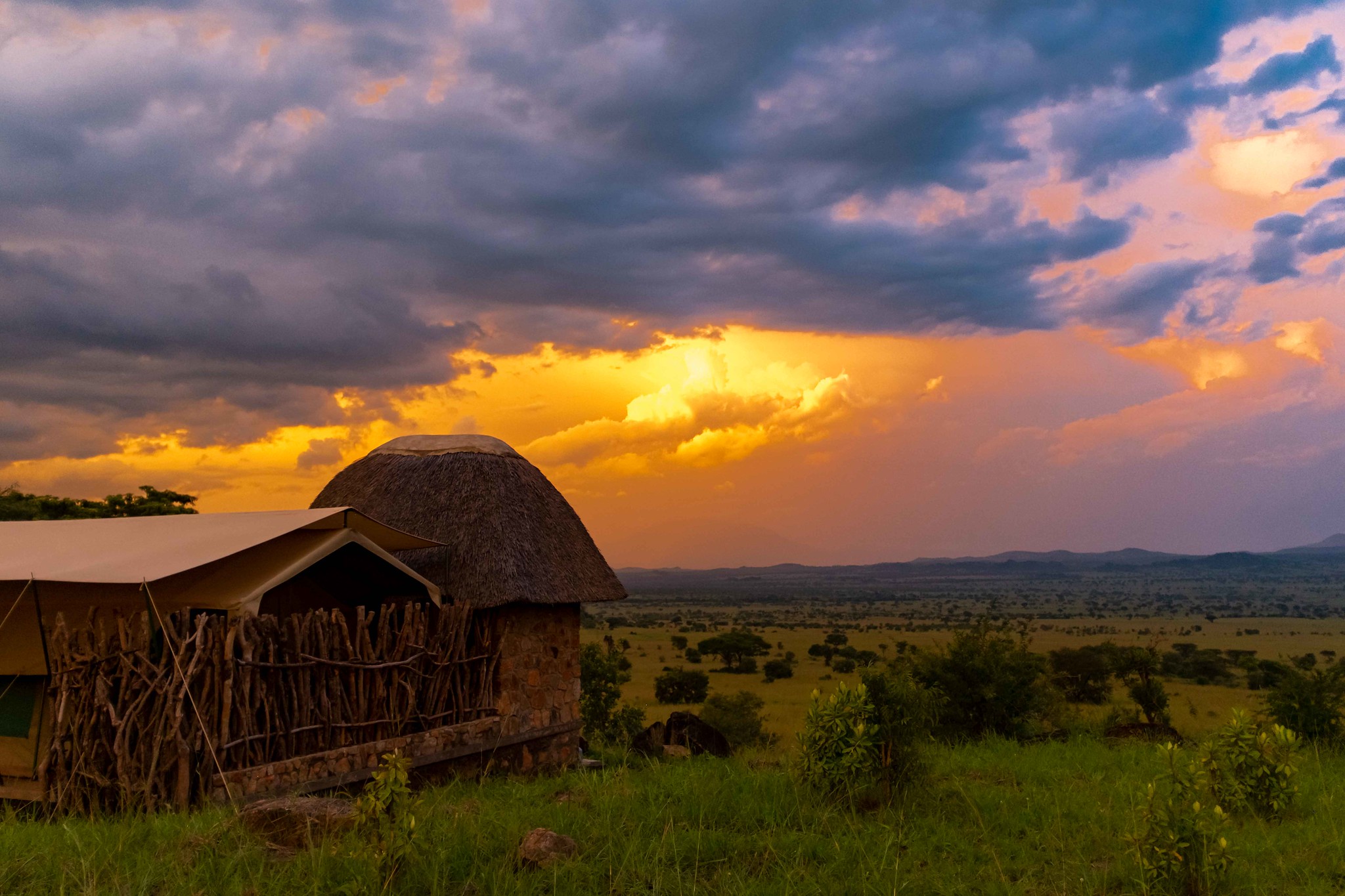 Visit Entebbe Town - Queen Elizabeth National Park